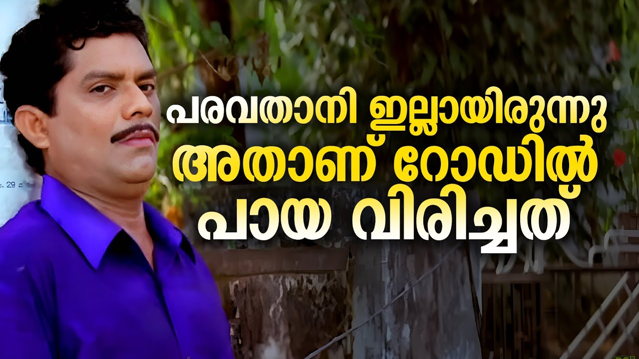 പരവതാനി ഇല്ലായിരുന്നു അതാണ് റോഡിൽ പായ വിരിച്ചത് | Junior Mandrake ...