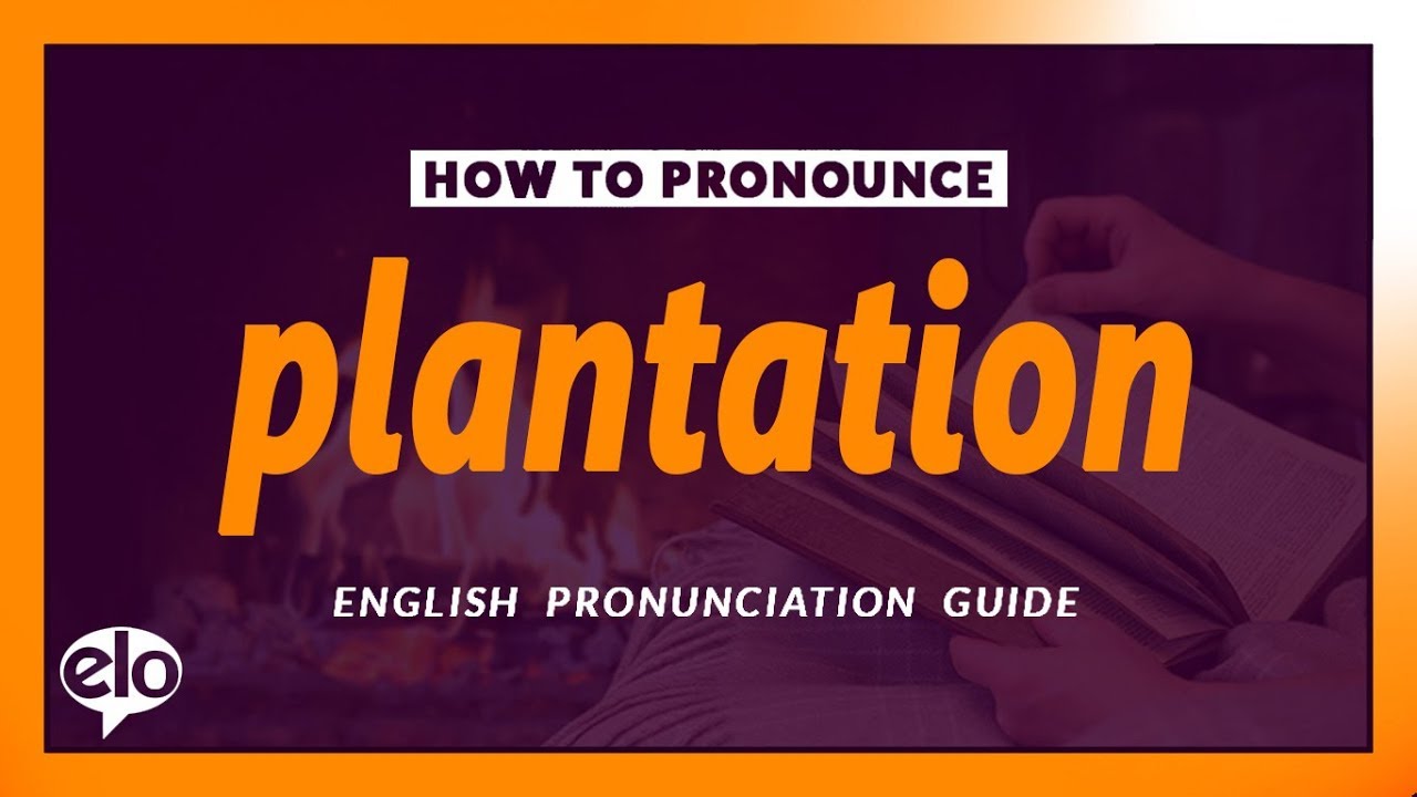 How To Pronounce Plantation | Definition and Pronunciation (Human Voice ...