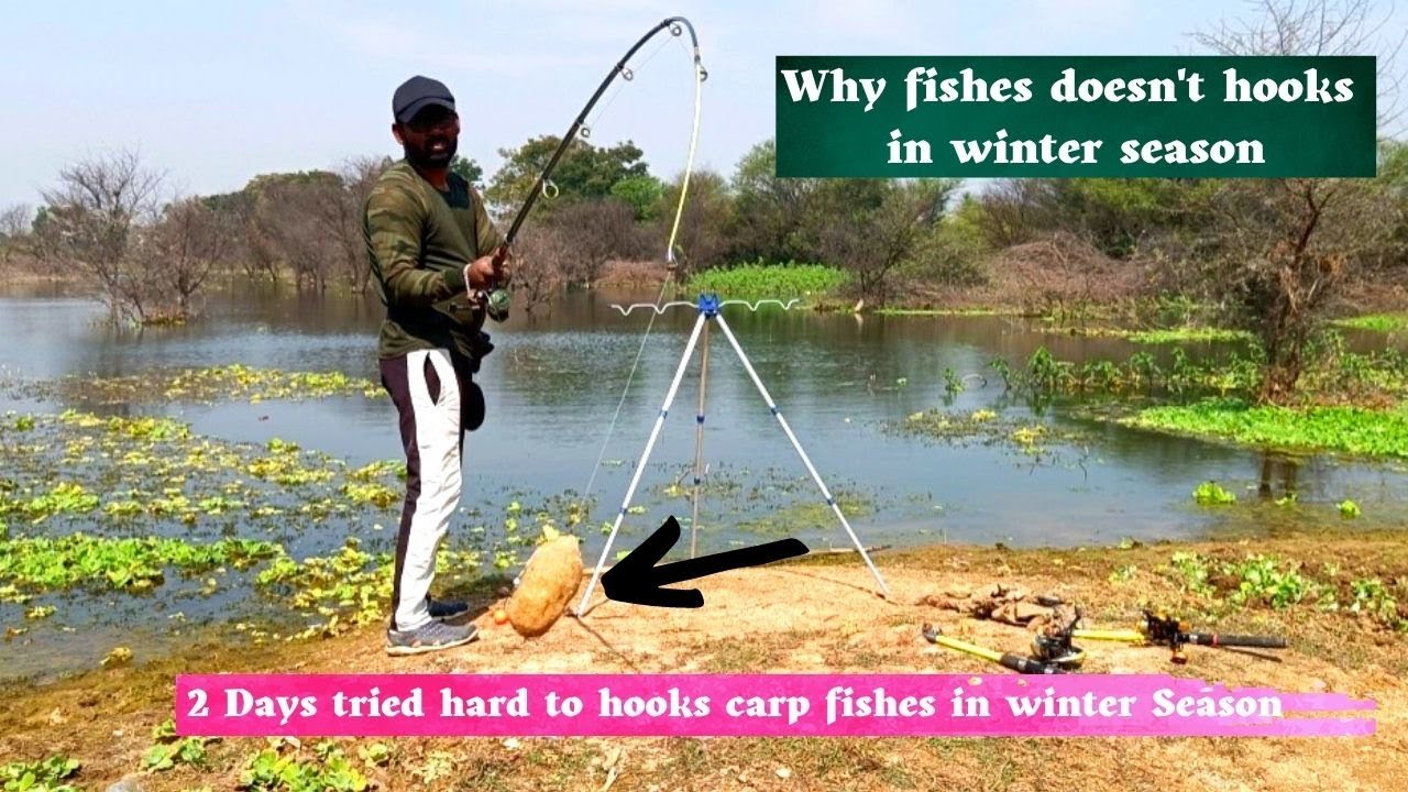 Why winter season fishes doesn't hooks|Winter season fishing| #fishing ...