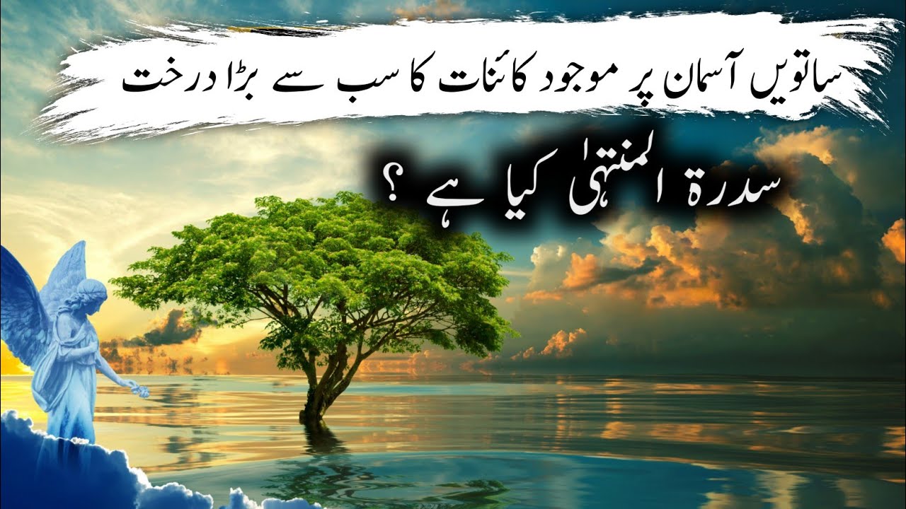 Sidratul muntaha kya hai | tree on 7th sky | It's Finder - YouTube