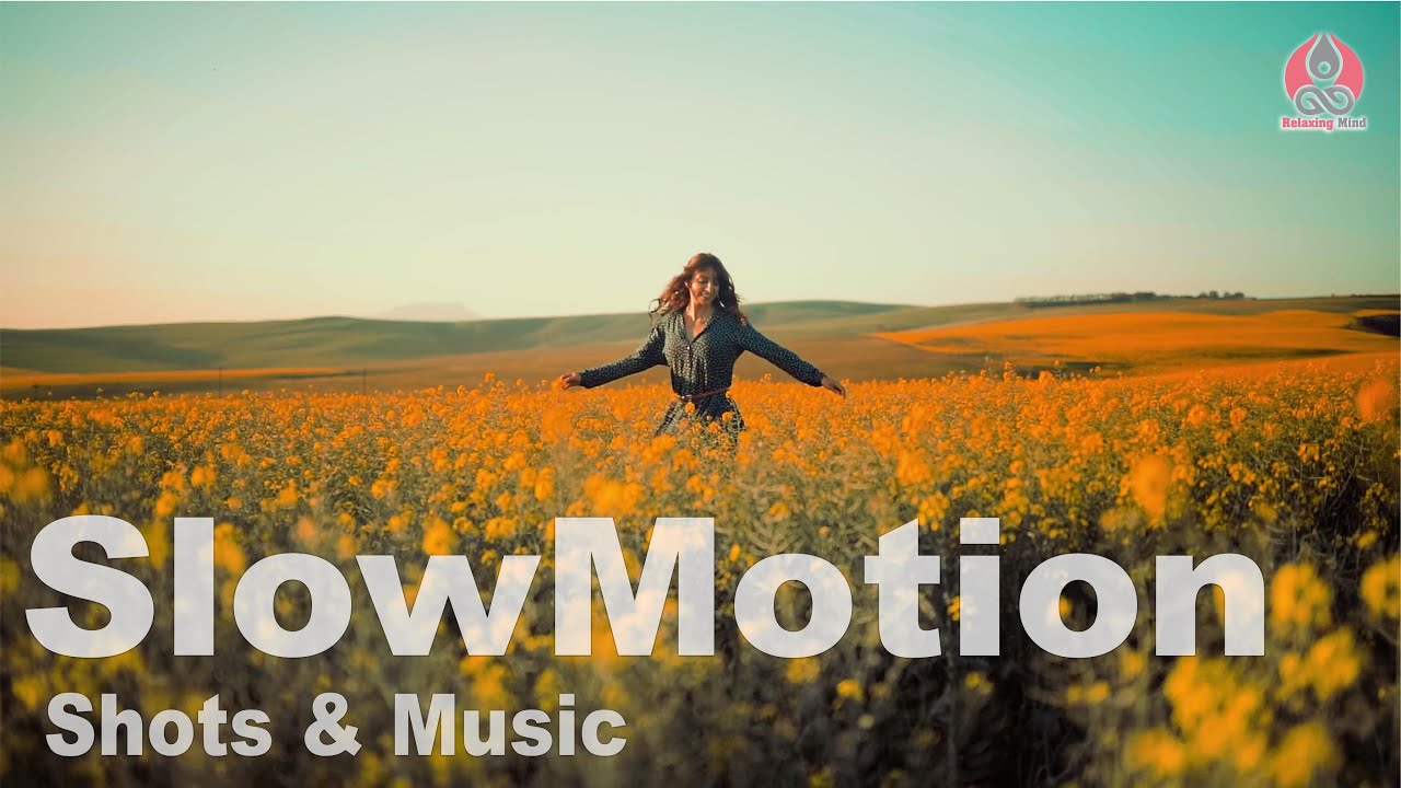 SlowMotion Shots & Music | Relaxing Piano | Smoothing Video, Meditation ...