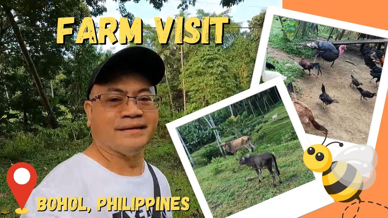 FARM VISIT - Bohol, Philippines - YouTube