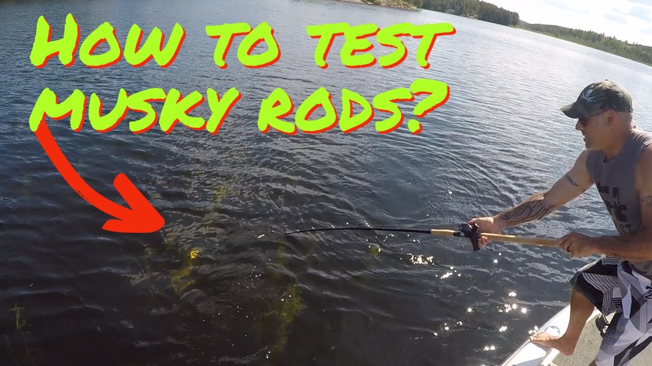 Comparing the FLEX & POWER of popular MUSKY RODS!!! - YouTube