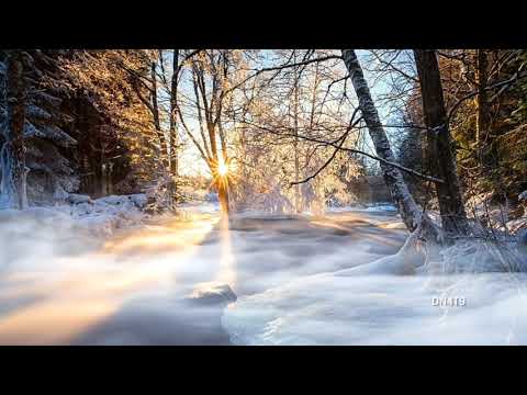 🌅Sunrise WhatsApp status video || 🌞morning sunrise || 🌅wonderful sunrise videos | 🌞sunrise #Sunrise