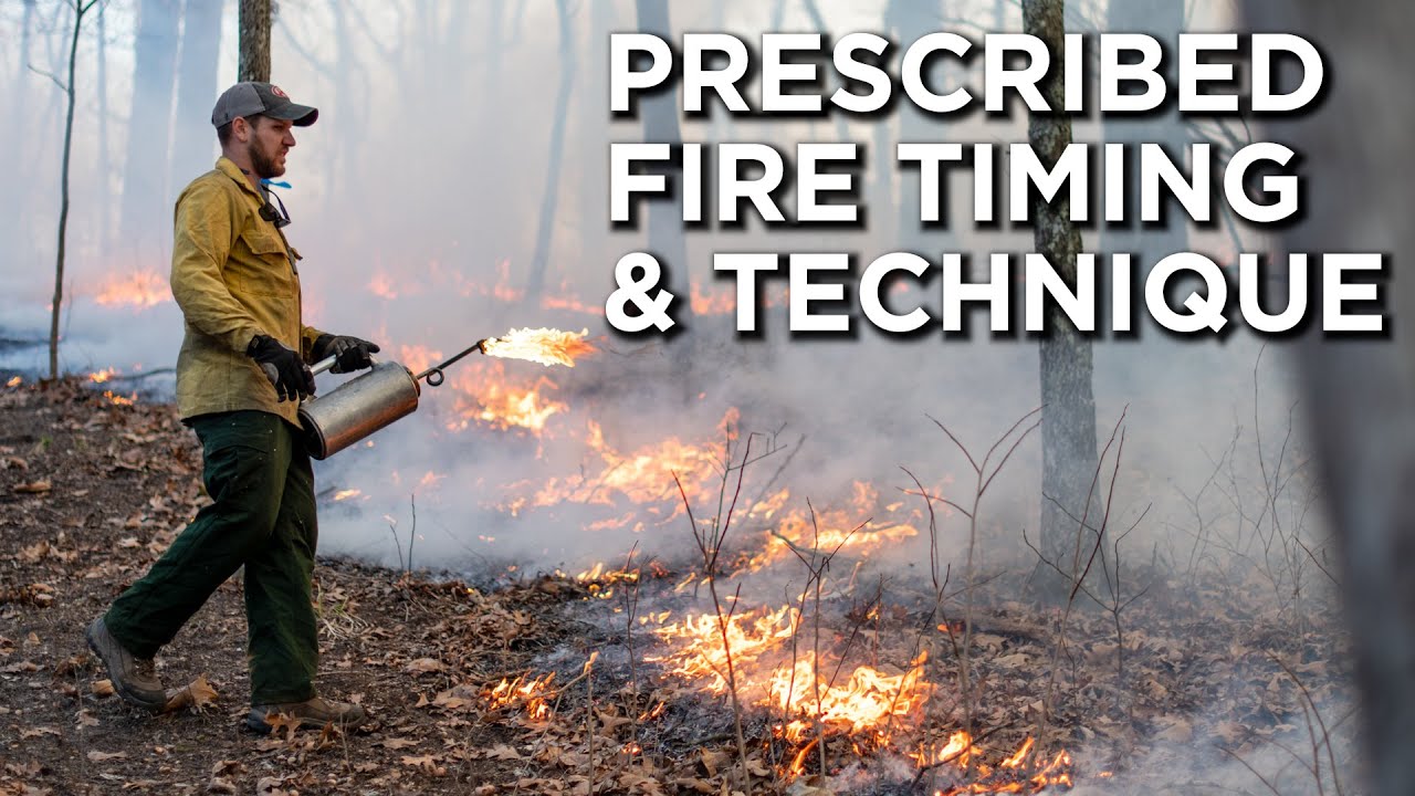 Prescribed Fire Timing And Techniques | Habitat Management - YouTube