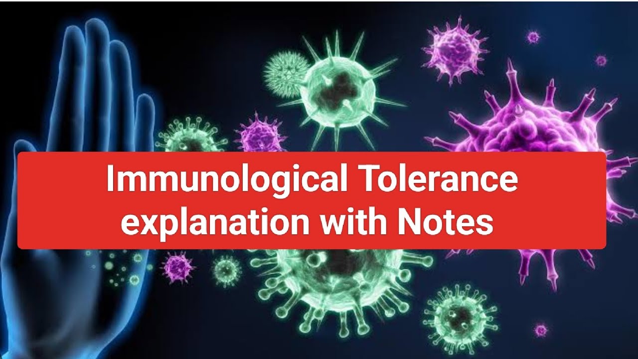 Immunological Tolerance easy explanation with Notes by Yogita Yadav ...
