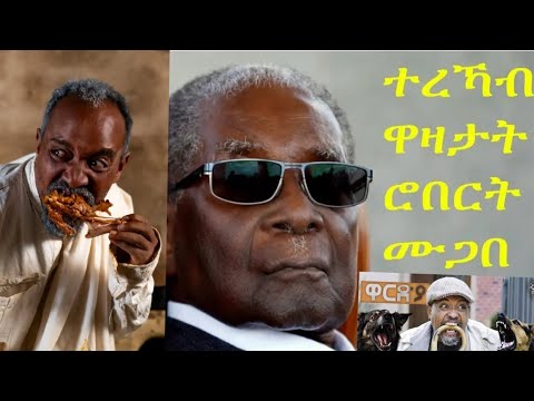 ተረኻብ ዋዛታት ሮበርት ሙጋበ / Robert Mugabe Funny jokes Tigrinya - YouTube