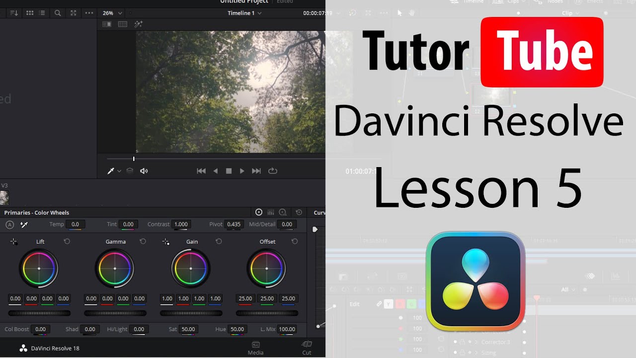 Davinci Resolve Tutorial - Lesson 5 - Media Arrangement in Bin - YouTube