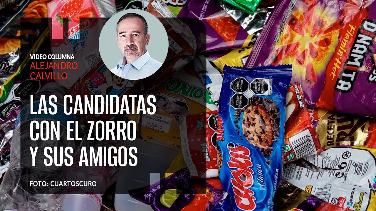Las candidatas con el Zorro y sus amigos. Por Alejandro Calvillo ¬ ...