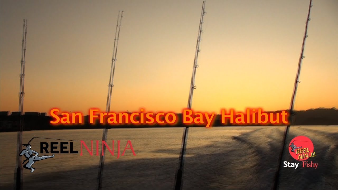 San Francisco Bay Halibut Fishing Reel Ninja - YouTube