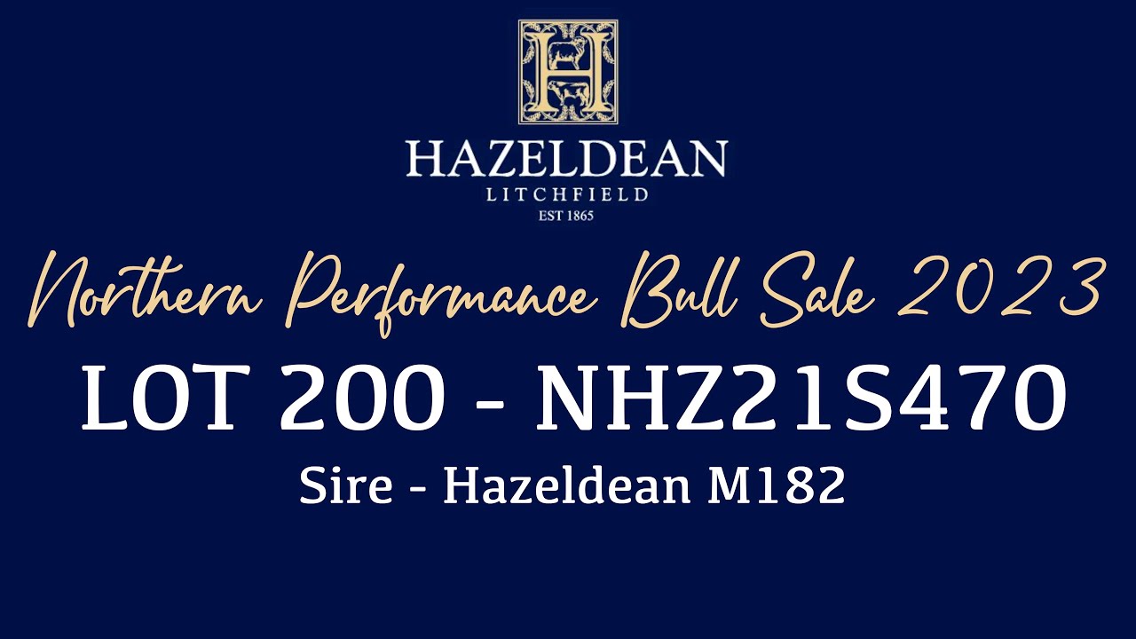 Lot 200 Hazeldean NHZ21S470 - YouTube