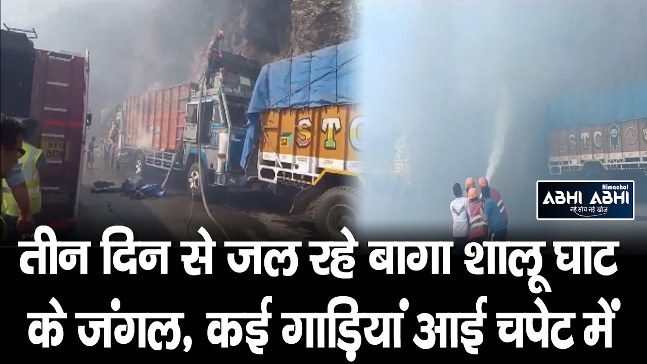 forest/Baga Shalu Ghat / fire - YouTube