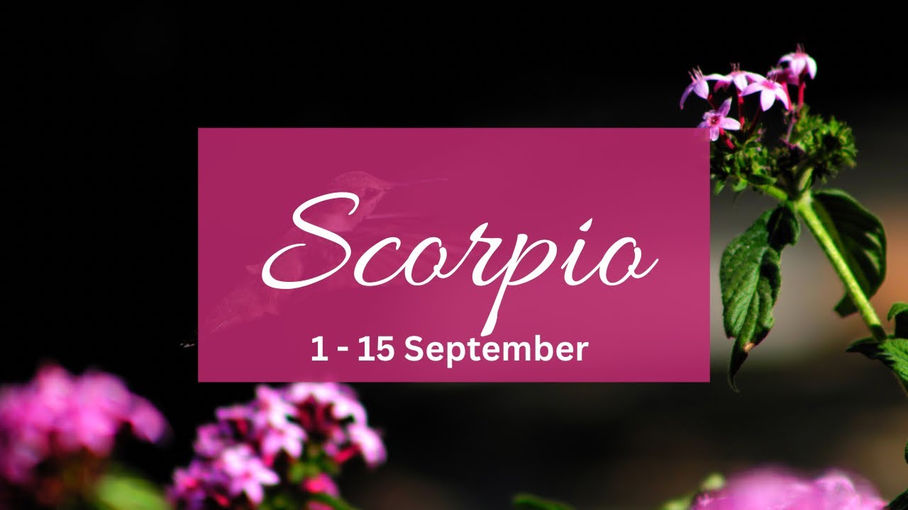 Scorpio ️They want to touch u feel u smell u badly after abandoning u ...