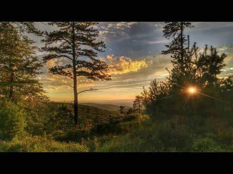 Michaux ATV trails & sights in Michaux State Forest of Pennsylvania ...