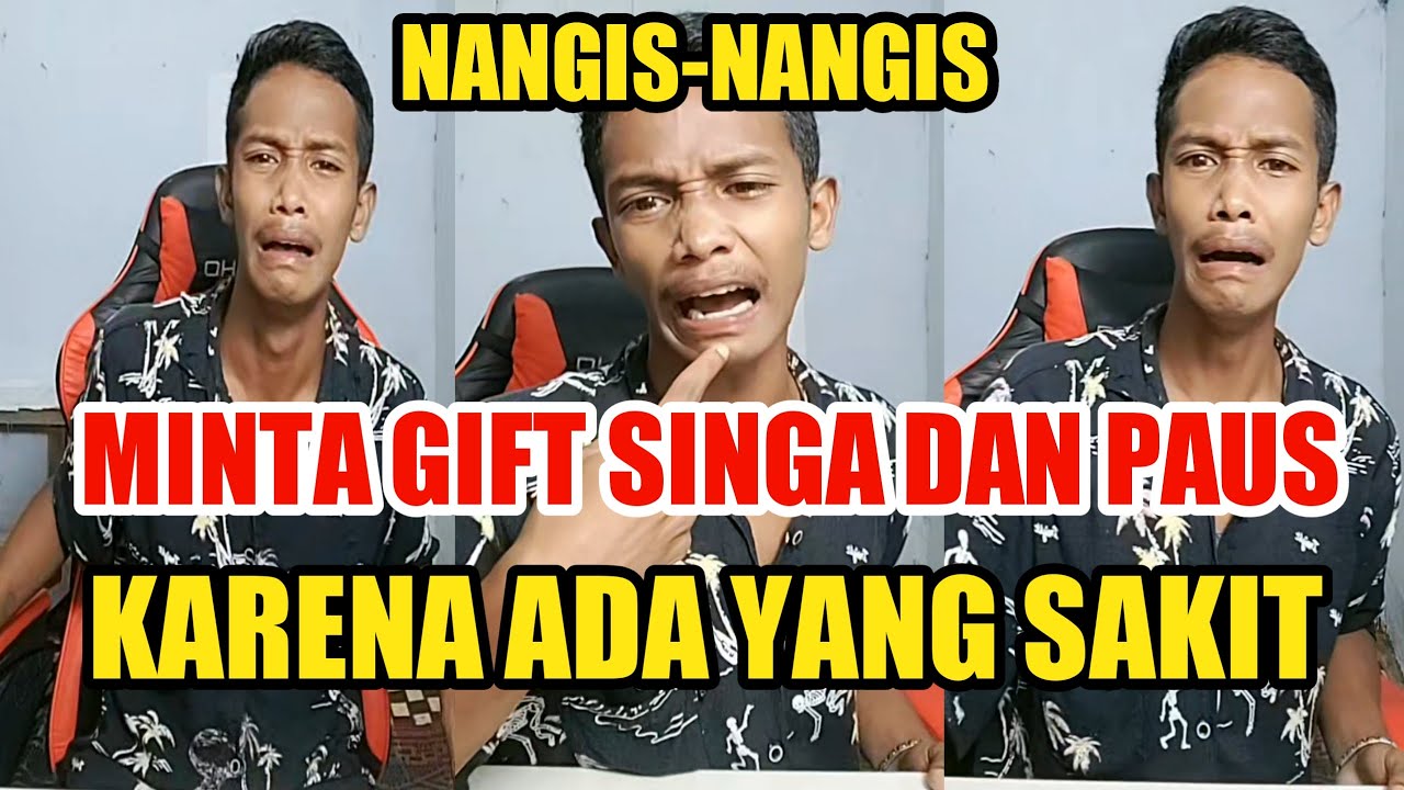 Adeknya sultan Akhyar nangis-nangis minta gift singa dan paus,karena ...