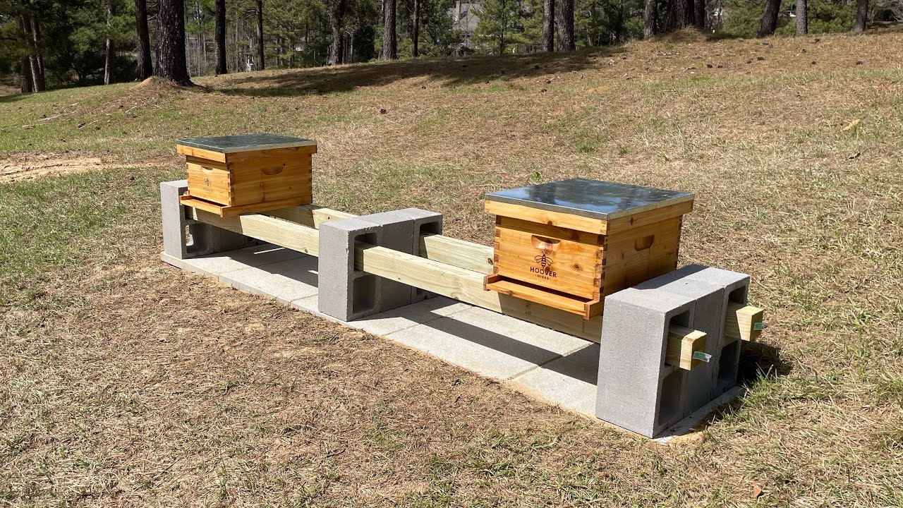 COMING SOON: Bees! - YouTube