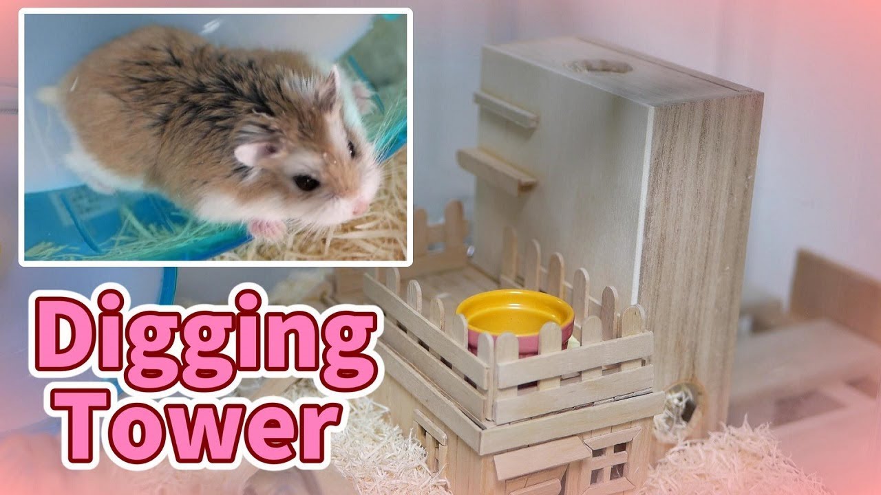 ディグタワー(玩具)を作ったのでハムスタービスケに遊んで欲しい Furnished Digging Tower | Hamster Toy ...