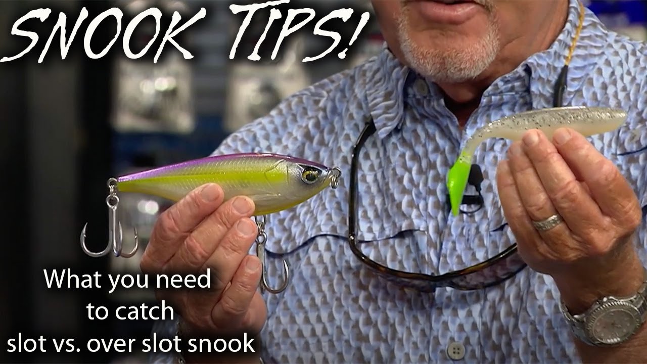 2 Types of Snook Fishing: Slot vs. Over Slot and What Tackle is Needed ...