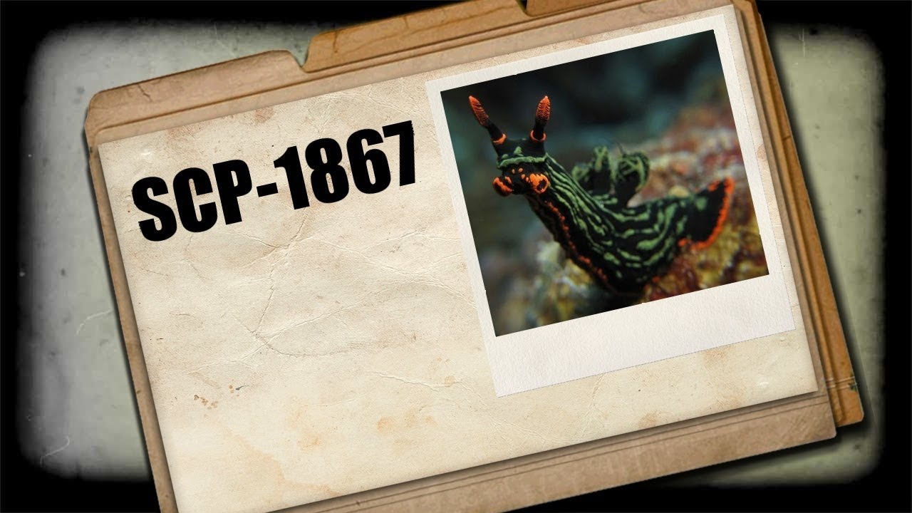 SCP-1867 - Záznam Nadace SCP - YouTube