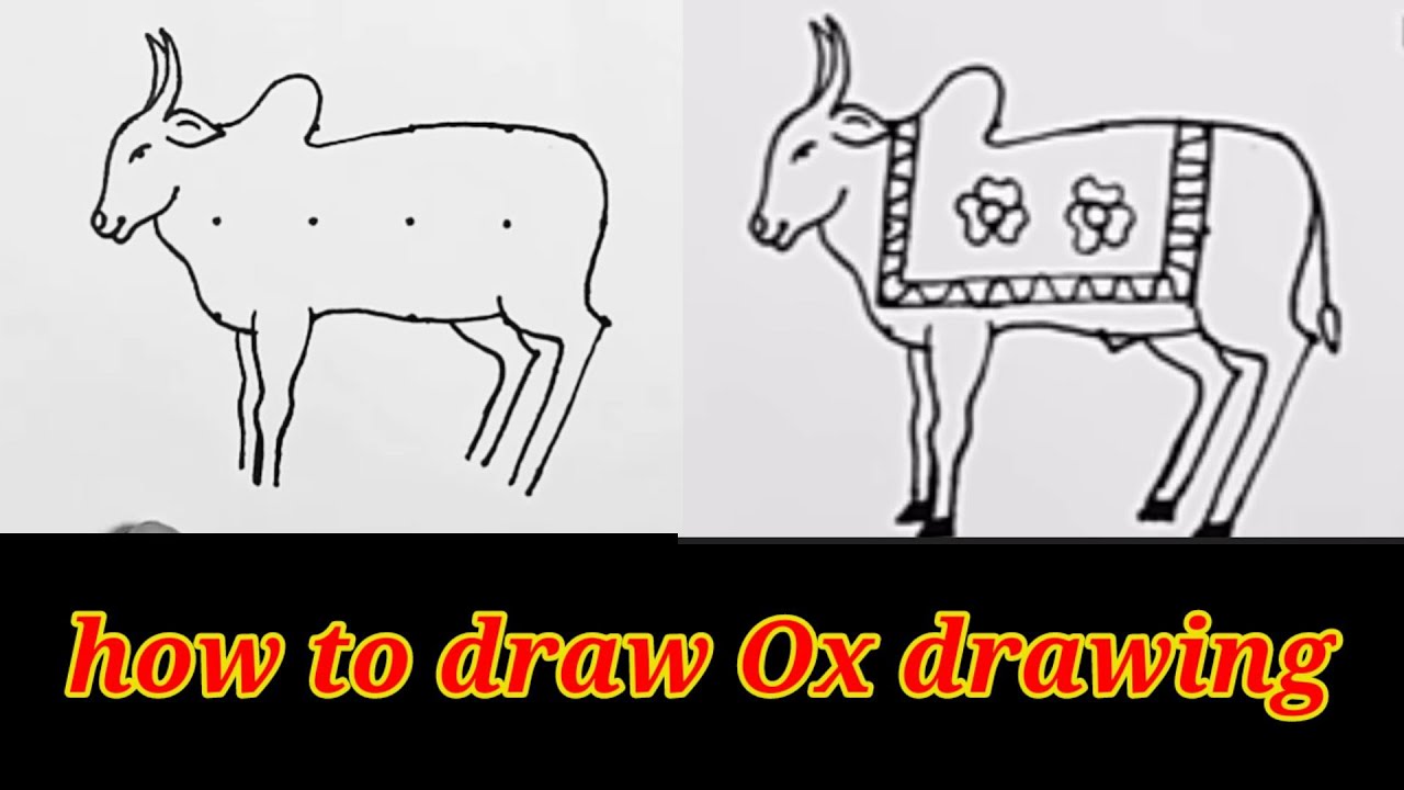 How to draw a OX from dots easy step by step // Easy OX drawing // OX ...