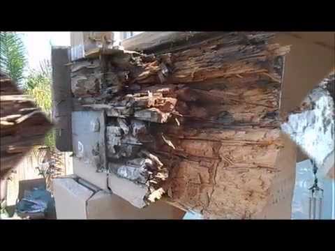 Dry Rot Repair On Patio Cover - YouTube