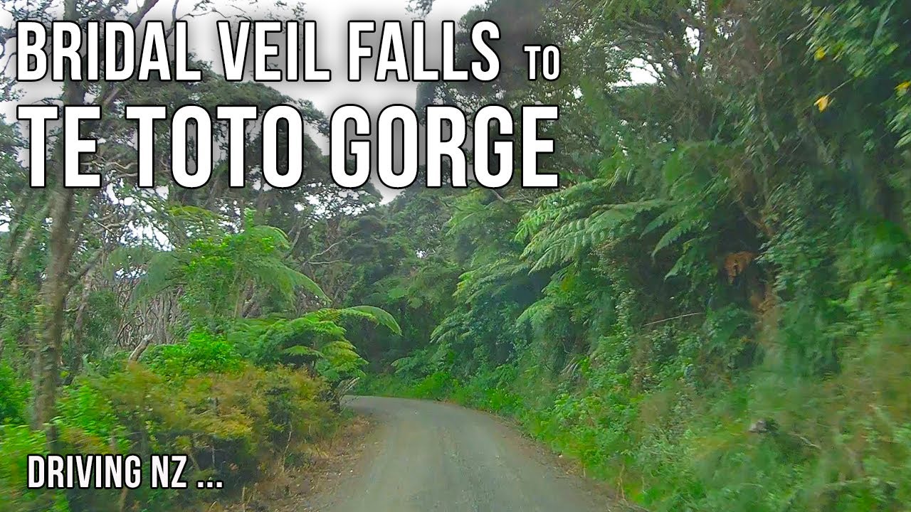 Driving New Zealand: Bridal Veil Falls to Te Toto Gorge Lookout ...