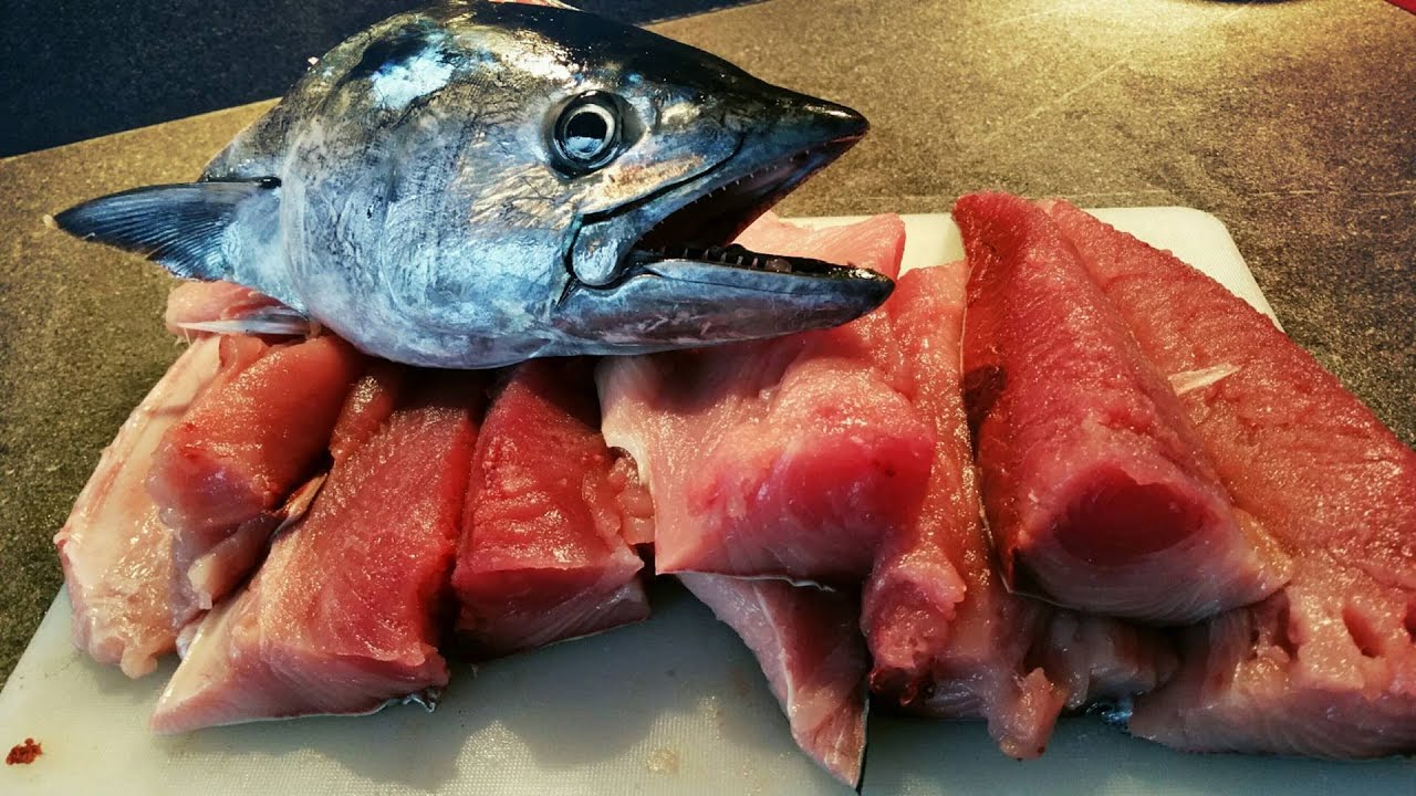 Comment lever des filets de Pelamide - Zero arête - YouTube