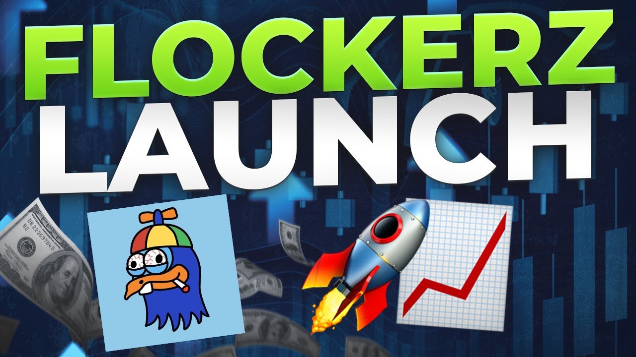 Flockerz LAUNCH BEKANNT! 🚀 (Tutorial) Flockerz Coin DEUTSCH - YouTube