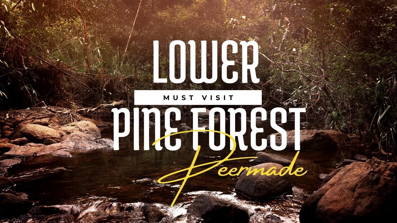 Lower Pine Forest | Peerumade | Vagamon | Kerala | Tourism | Nice place ...