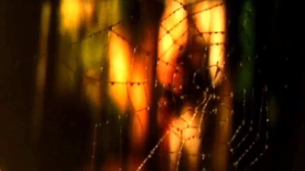 Dr. Dre ft Ice Cube - Natural born killaz - YouTube