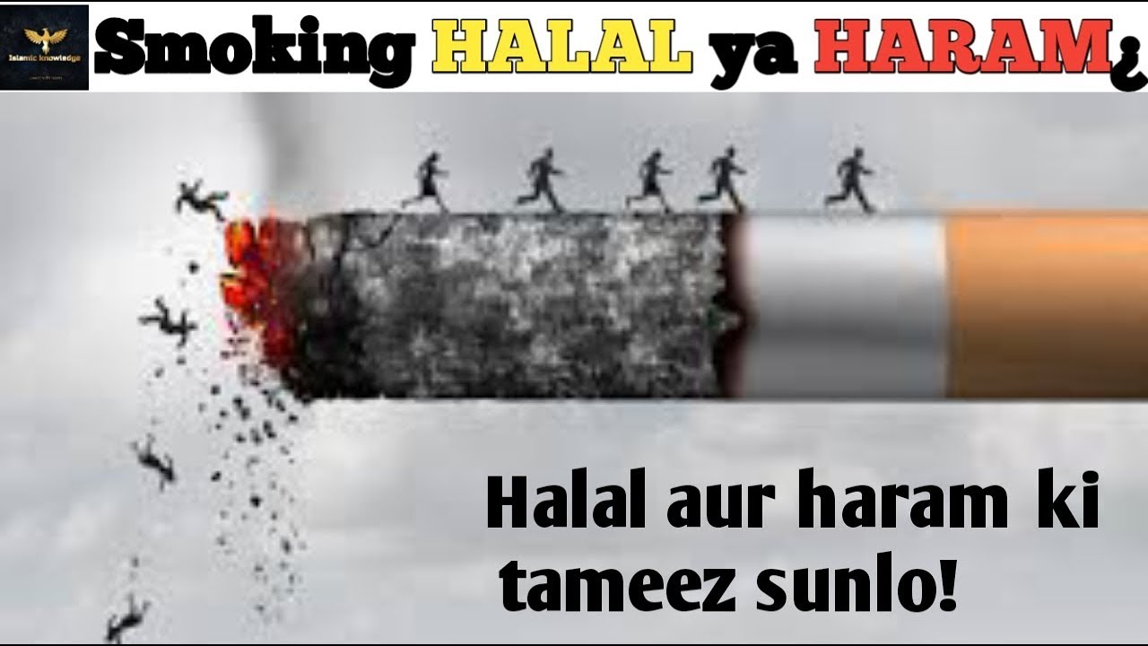 Smoking 🚬 Halal Ya haram? Smoking Nasha'war cheezo mai shamil hai ...
