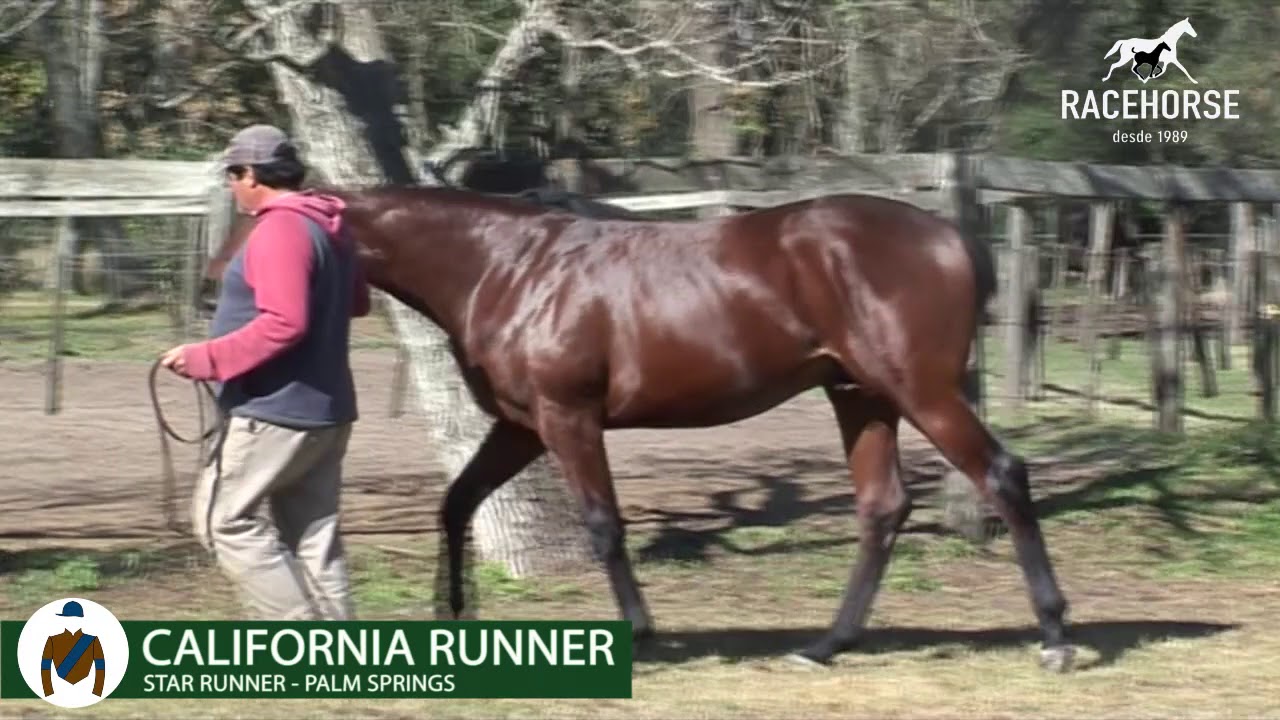 01 CALIFORNIA RUNNER - YouTube