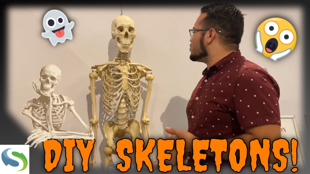 DIY SKELETON: Using SCIENCE to Teach Kids About the Human Skeleton ...