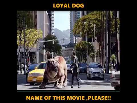 Name of this movie please!!