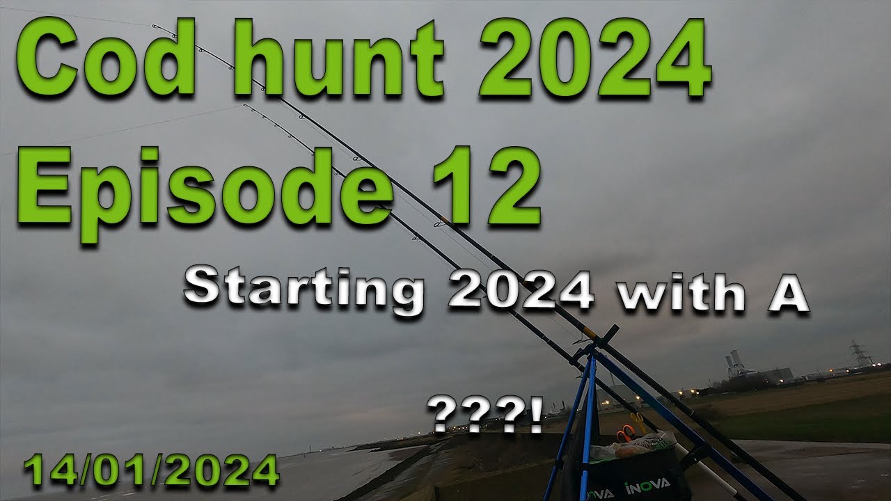 Sea Fishing | Stallingborough Wall | Cod Hunt 2023/4 | Beach Fishing ...