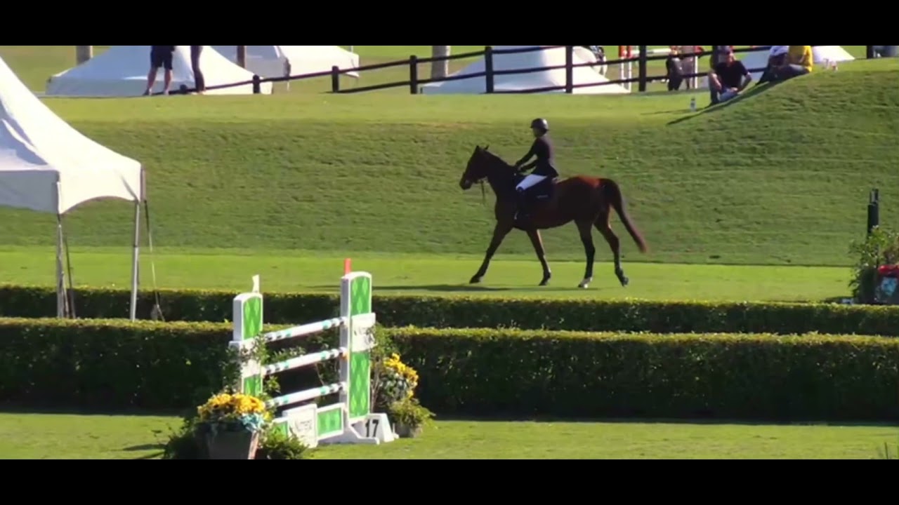 Balou’s Captain Mallory Vale $25,000 Equiline Grand Prix - YouTube