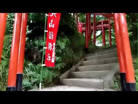 Japanese Shrine walk - YouTube