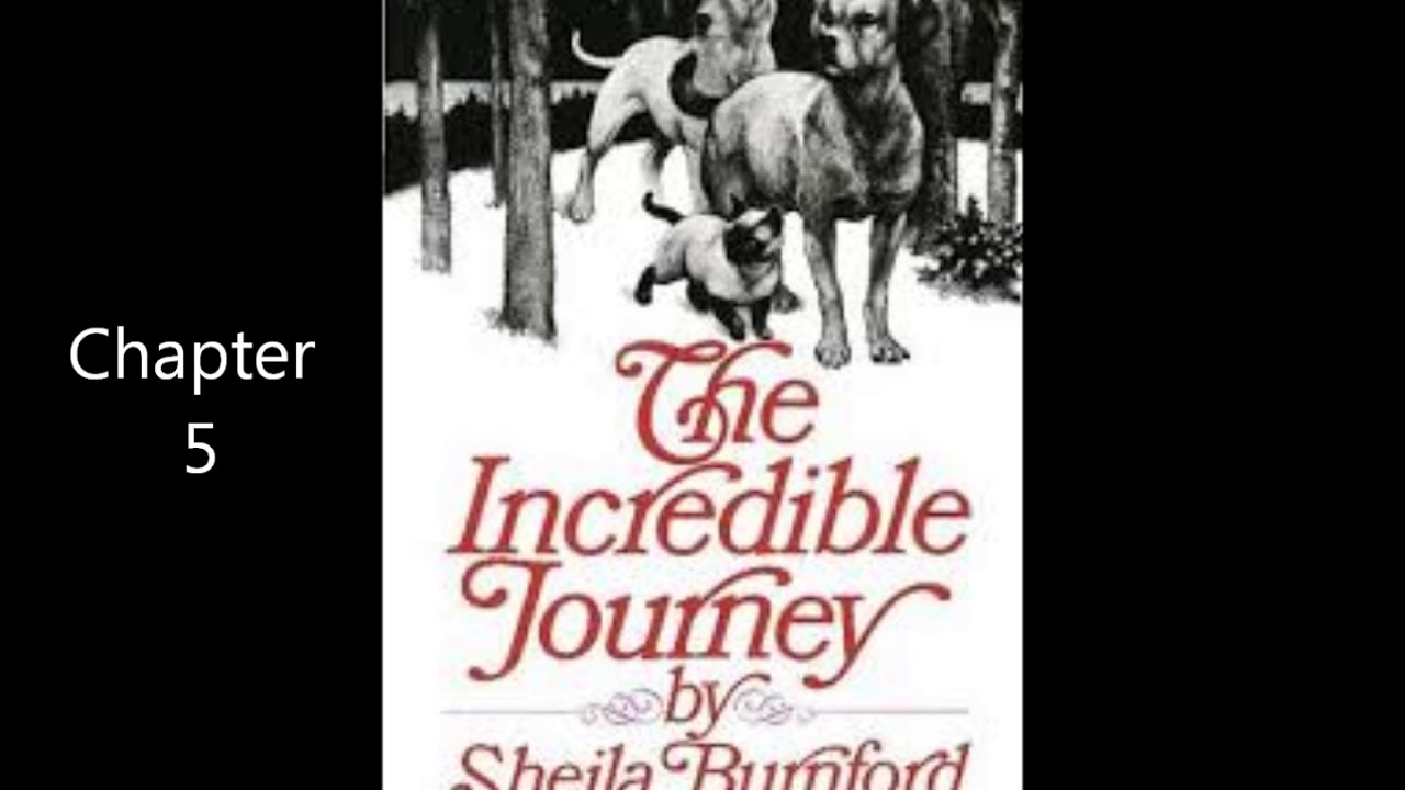 Incredible journey Chapter 5 - YouTube