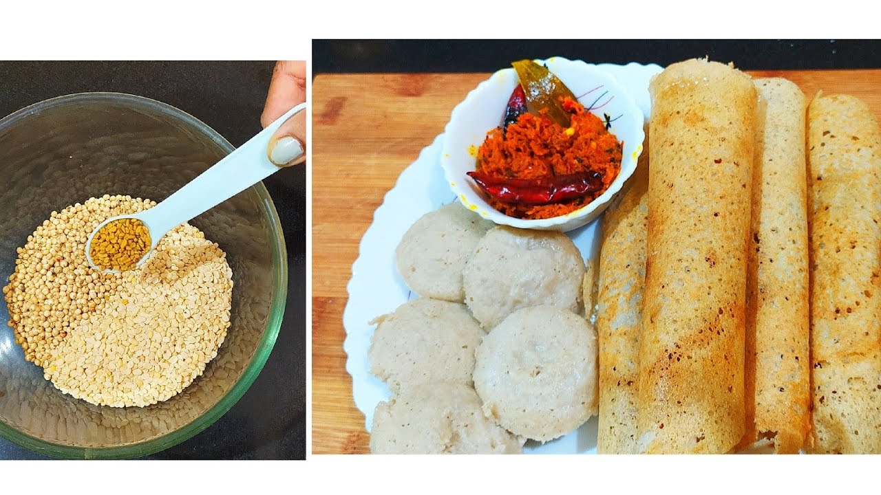 Jowar Idli/Dosa 2 in 1 Batter | 2 Healthy Jowar Recipe in 1 Batter ...