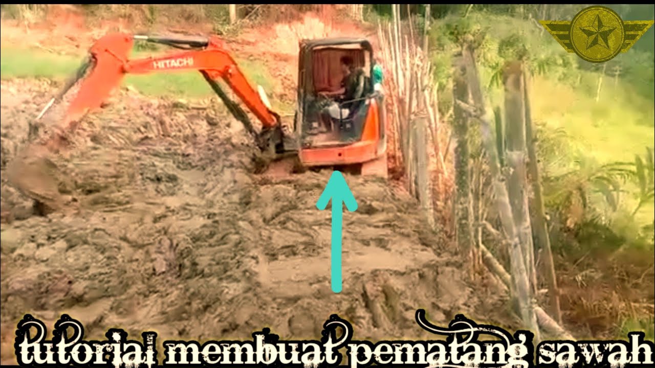 cara membuat pematang sawah | tanah gambut - YouTube