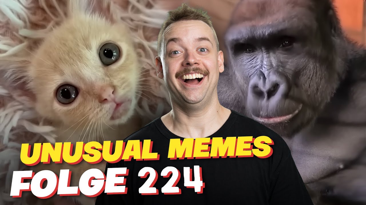 WAS ist denn da LOS ?! Reaktion auf UNUSUAL MEMES COMPILATION V224 ...
