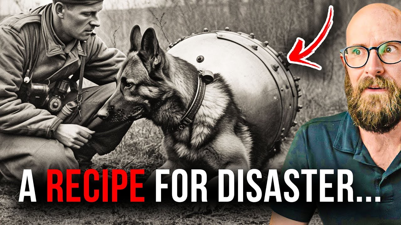 5 Weird Military Inventions that Did NOT Work Out - YouTube