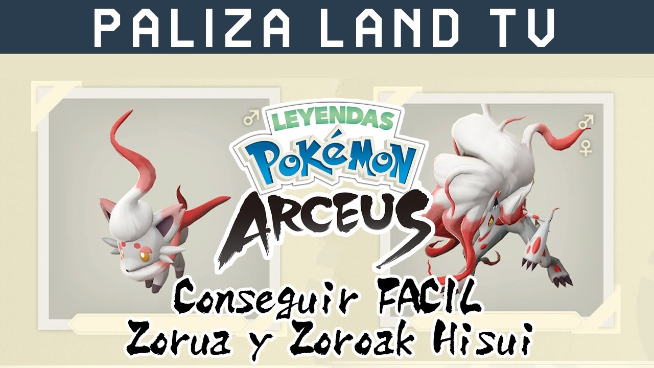 GUIA - Como Conseguir a Zorua Hisui y Zoroark Hisui FÁCIL!! En Leyendas ...