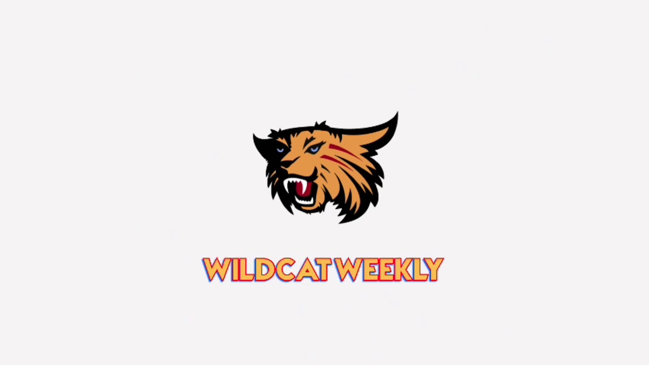 WILDCAT WEEKLY TRAILER - YouTube