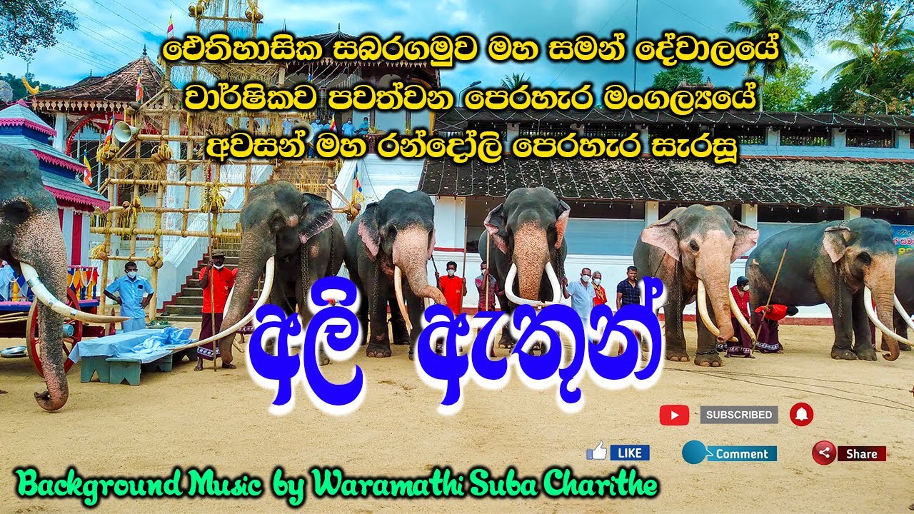 සමන් දේවාලයේ අවසන් මහ රන්දෝලි පෙරහැර සැරසූ අලි ඇතුන් / Background Music ...