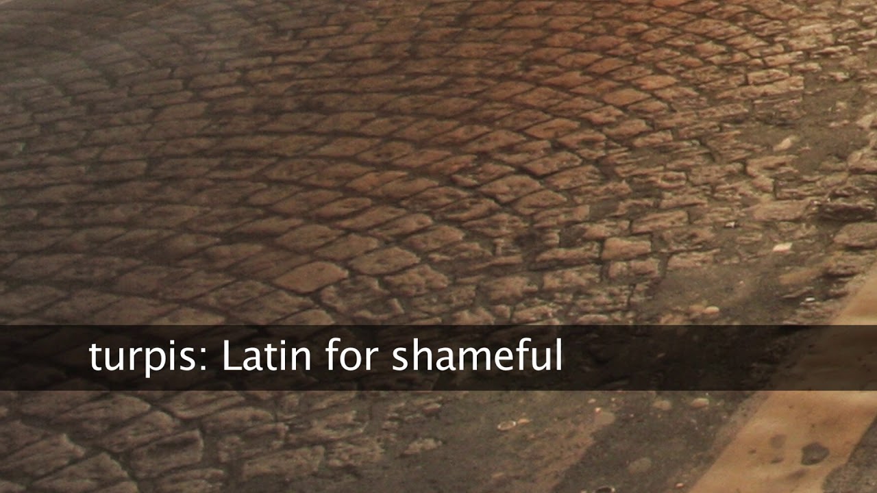 what does turpitude mean? - YouTube