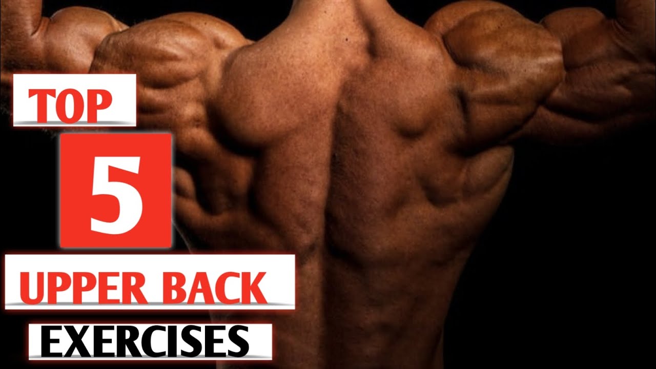 The Upper Back Workout | Upper Back Exercises #backworkout - YouTube