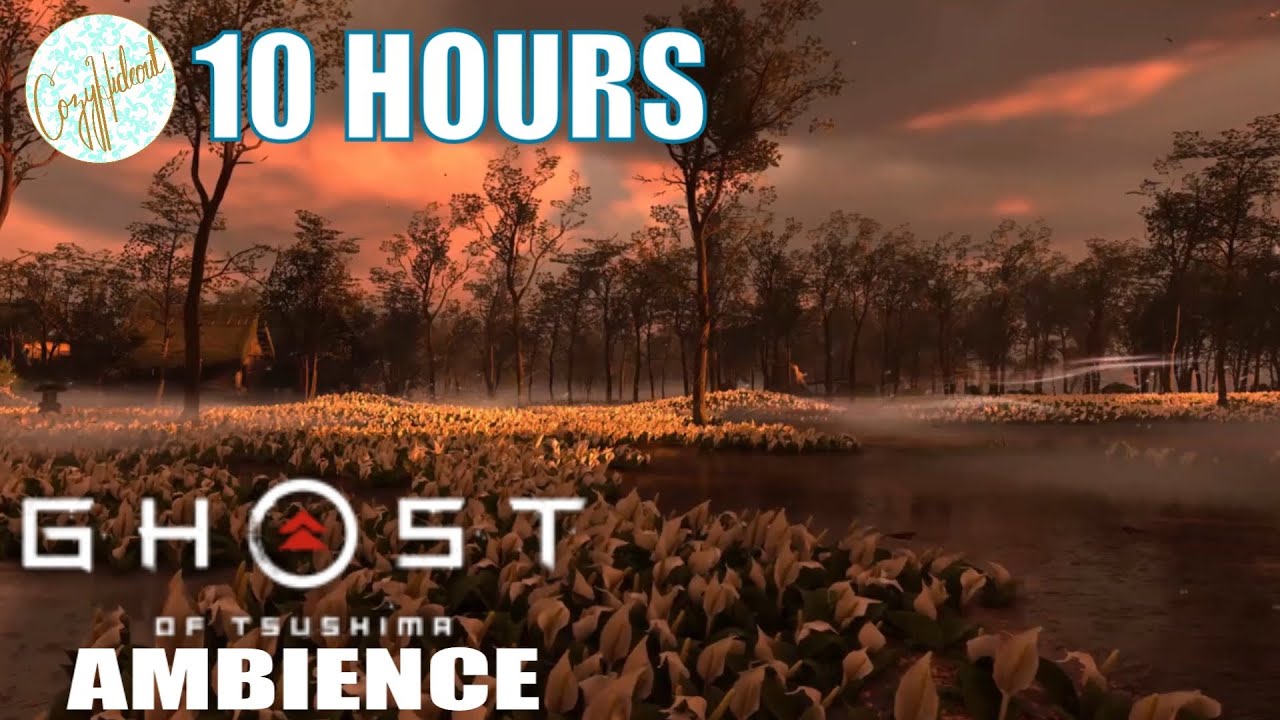 Wetlands and Fields of Lilies During Auburn Sunset / Ghost of Tsushima ...
