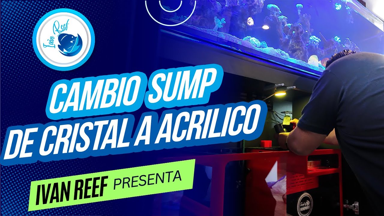 Así cambiamos un SUMP para un acuario Marino de 500L - YouTube