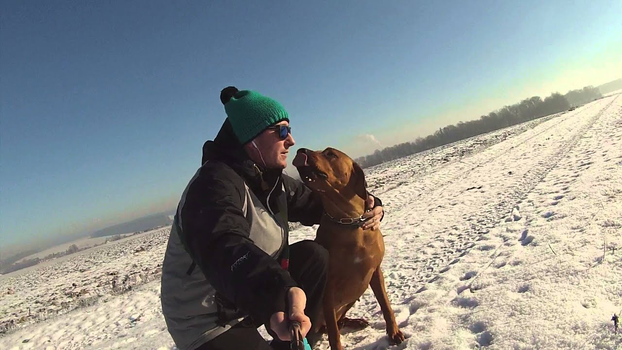 GoPro: Rhodesian ridgeback, funny in snow - YouTube